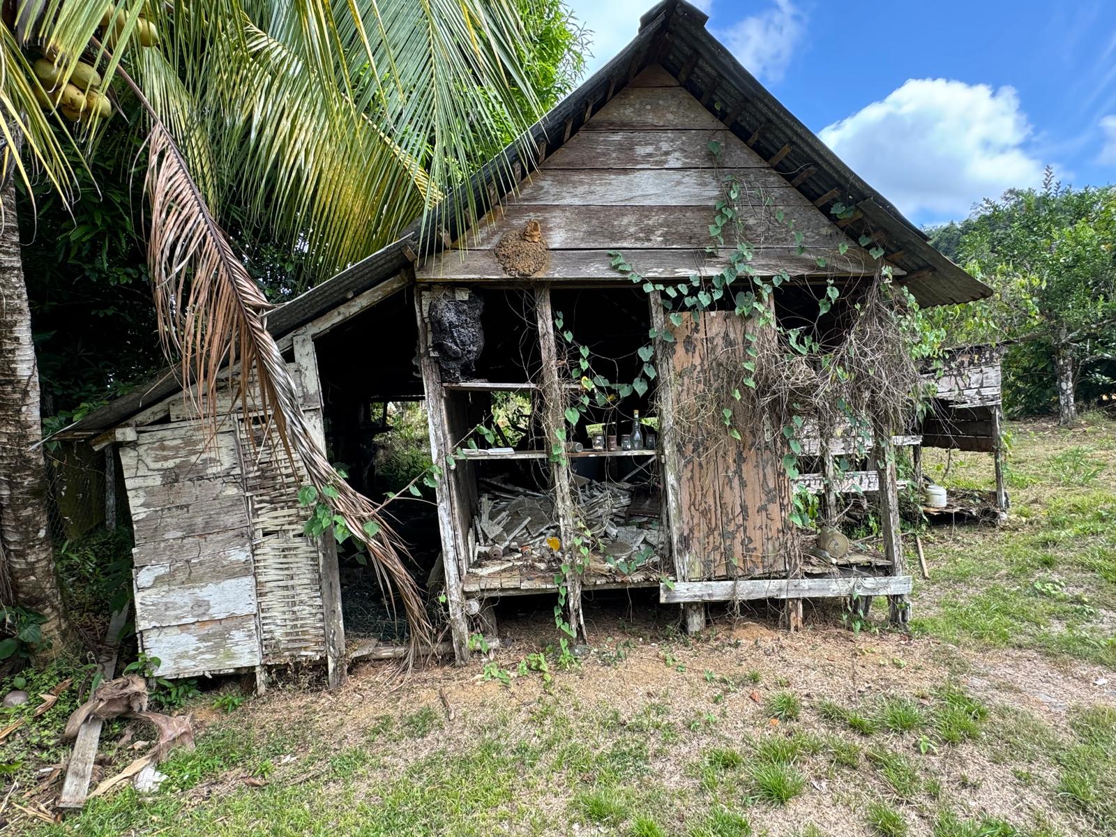 Saül, un village hors du temps – Guyane Agricole