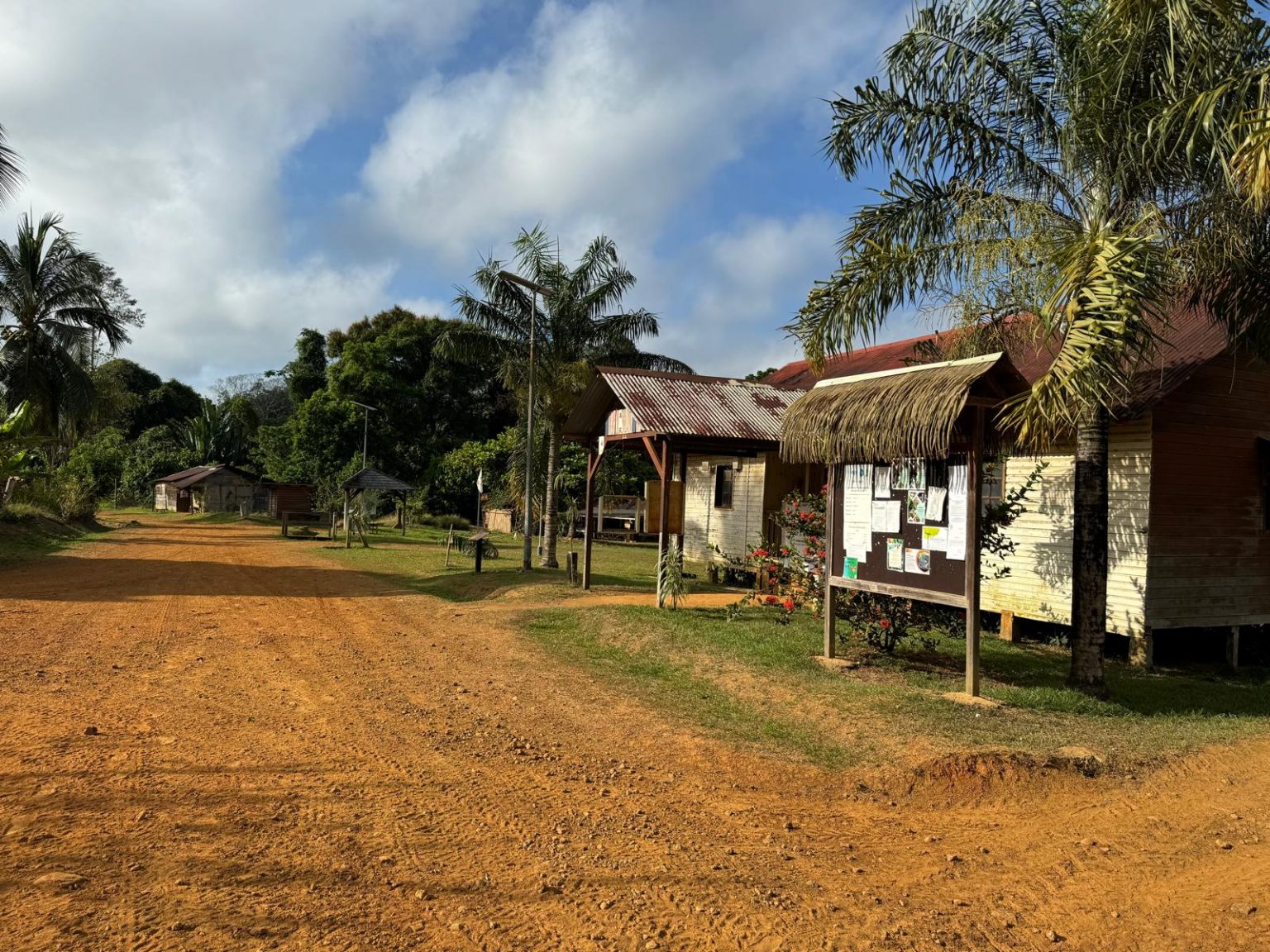 Saül, un village hors du temps – Guyane Agricole